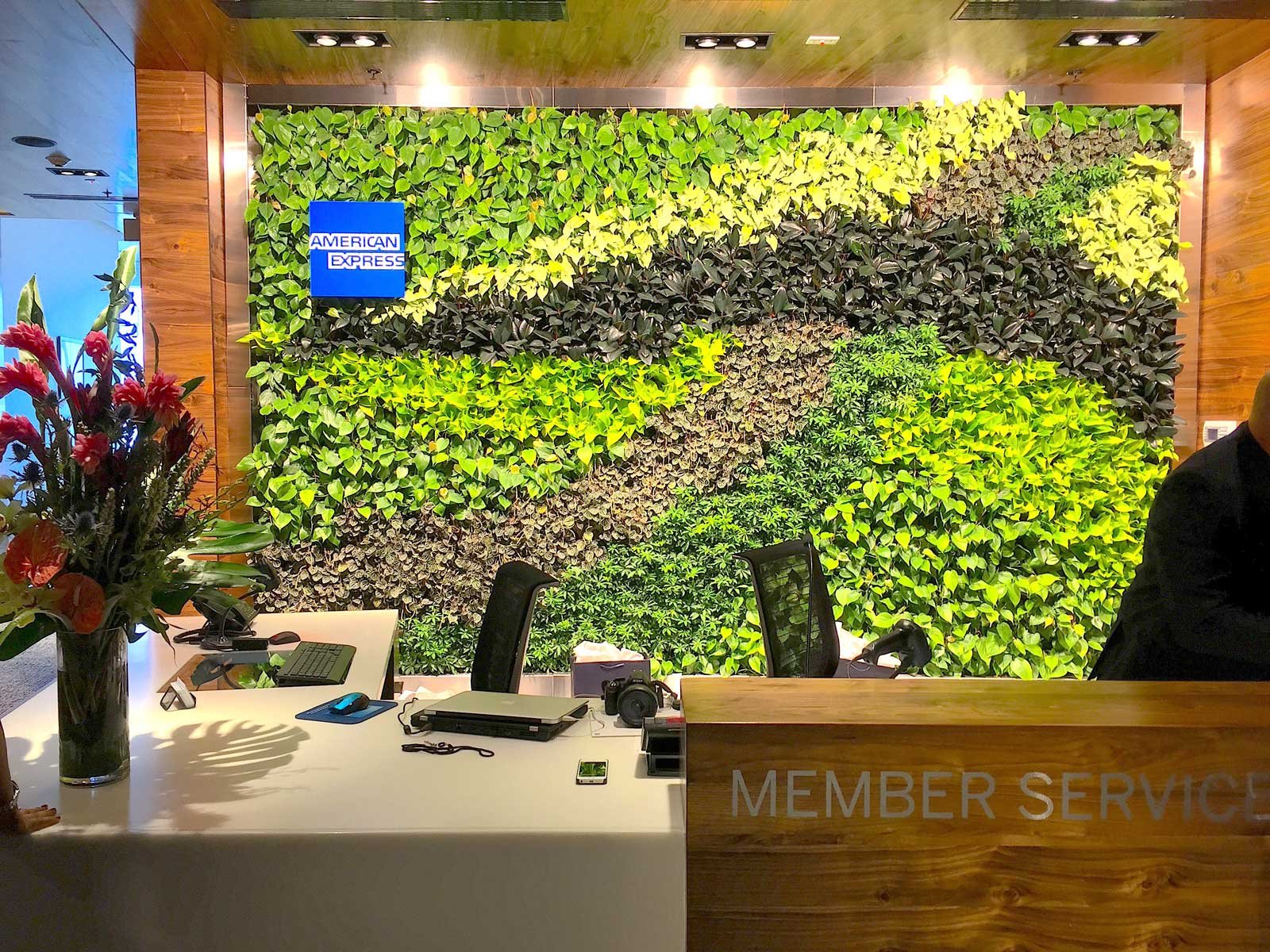 Living Wall Systems for Offices & Commercial Spaces | Natura