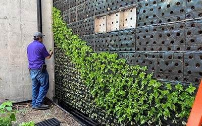 Living Wall Systems