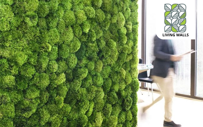 Green Wall Systems by Natura® | Vertical Plant Wall Systems since 1983
