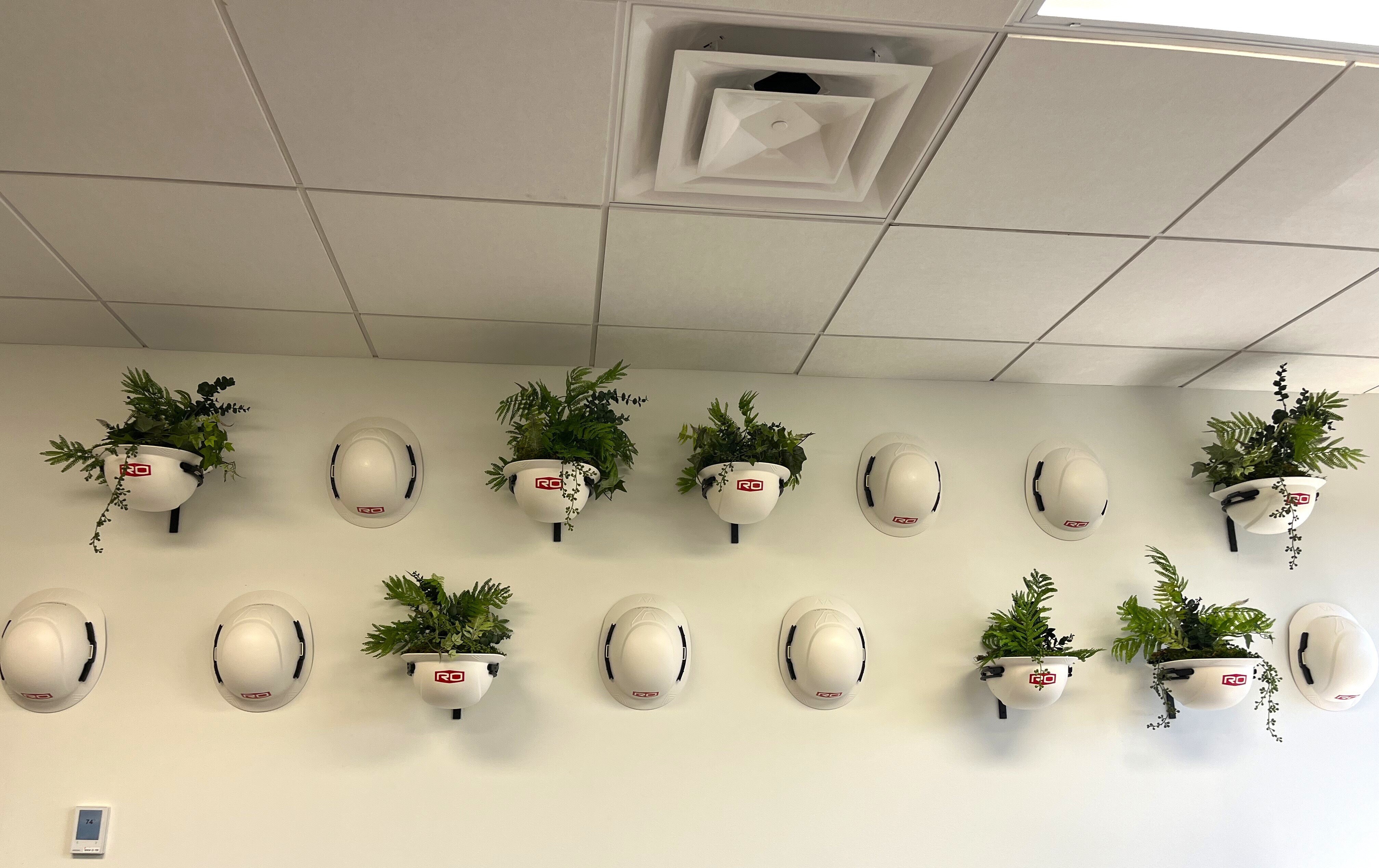 Living Wall Systems