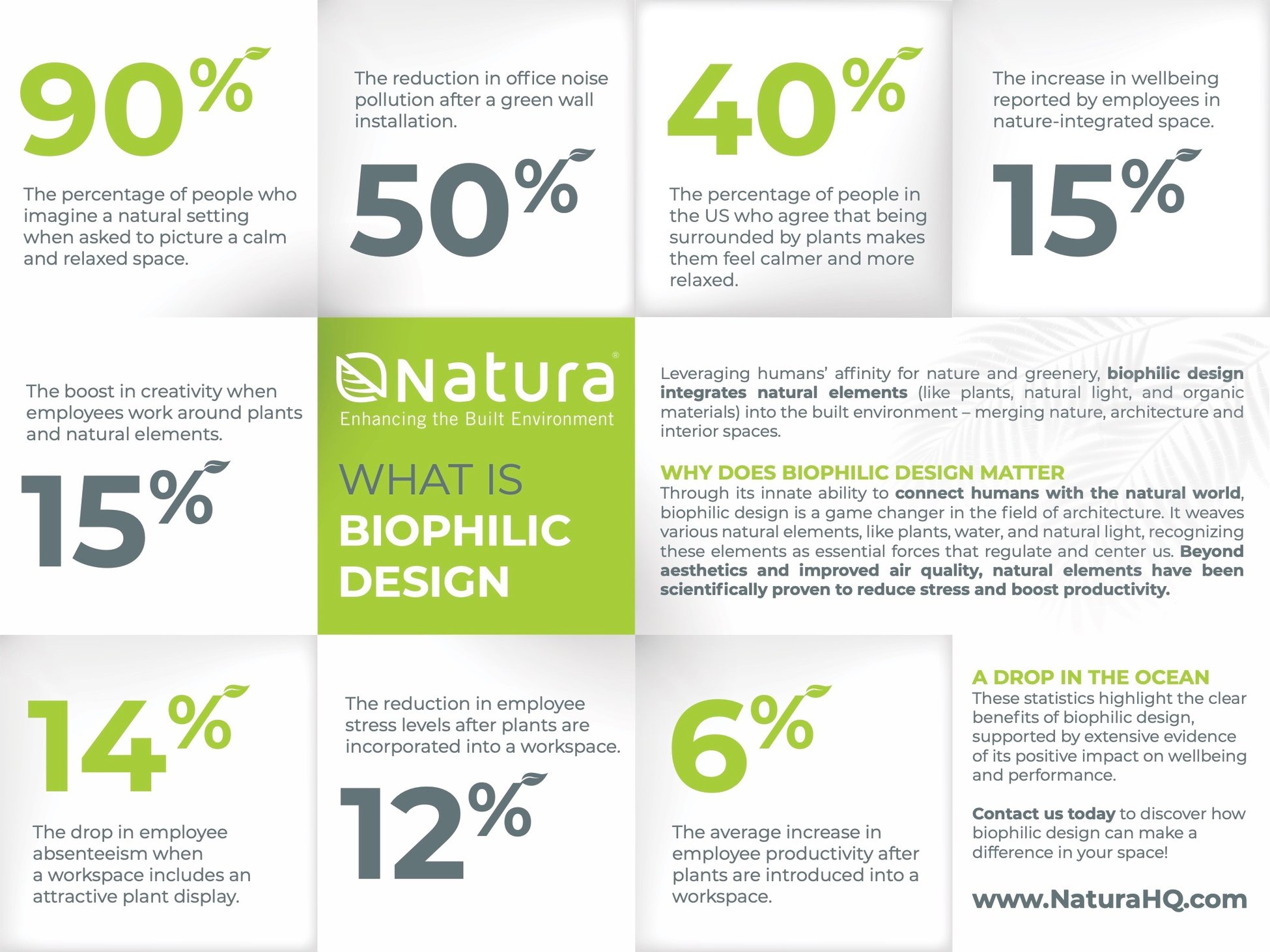 Biophilic Design Services for Workspaces | Natura