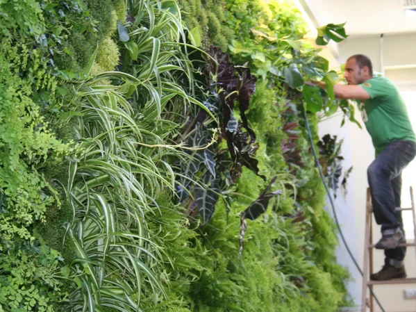 Living Wall Systems for Offices & Commercial Spaces | Natura